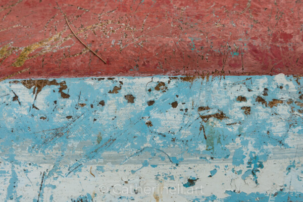 SERIES-HULLS - Catherine Li