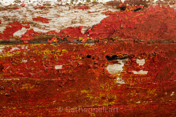 SERIES-HULLS - Catherine Li