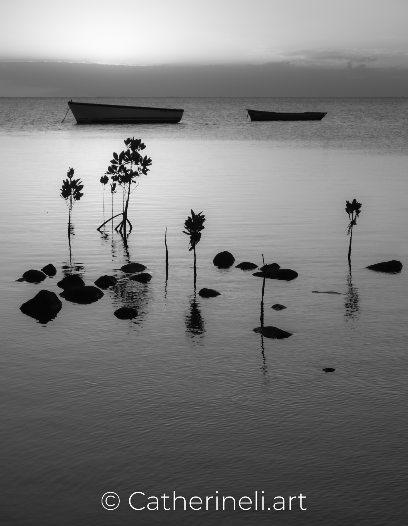 BLACK & WHITE - Catherine Li