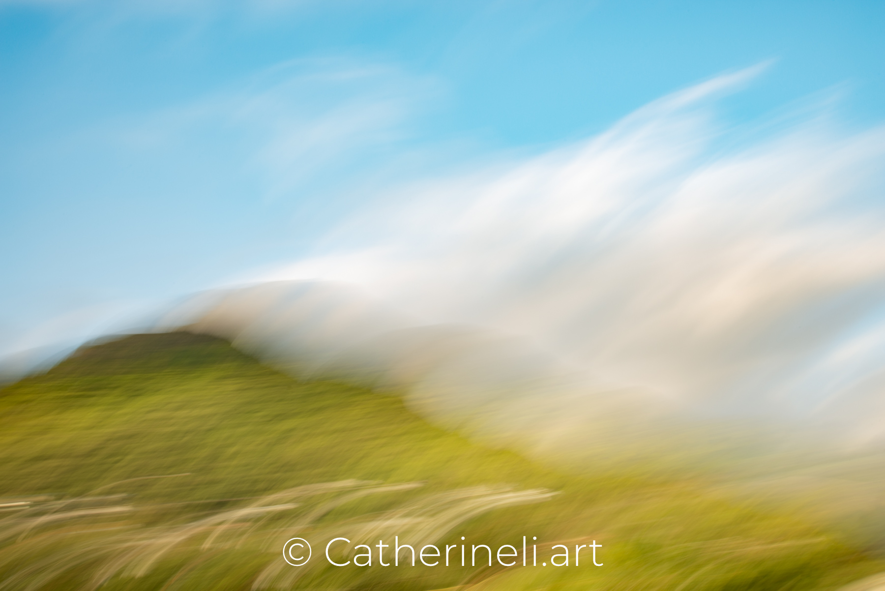 SERIES-IMPRESSIONS - Catherine Li