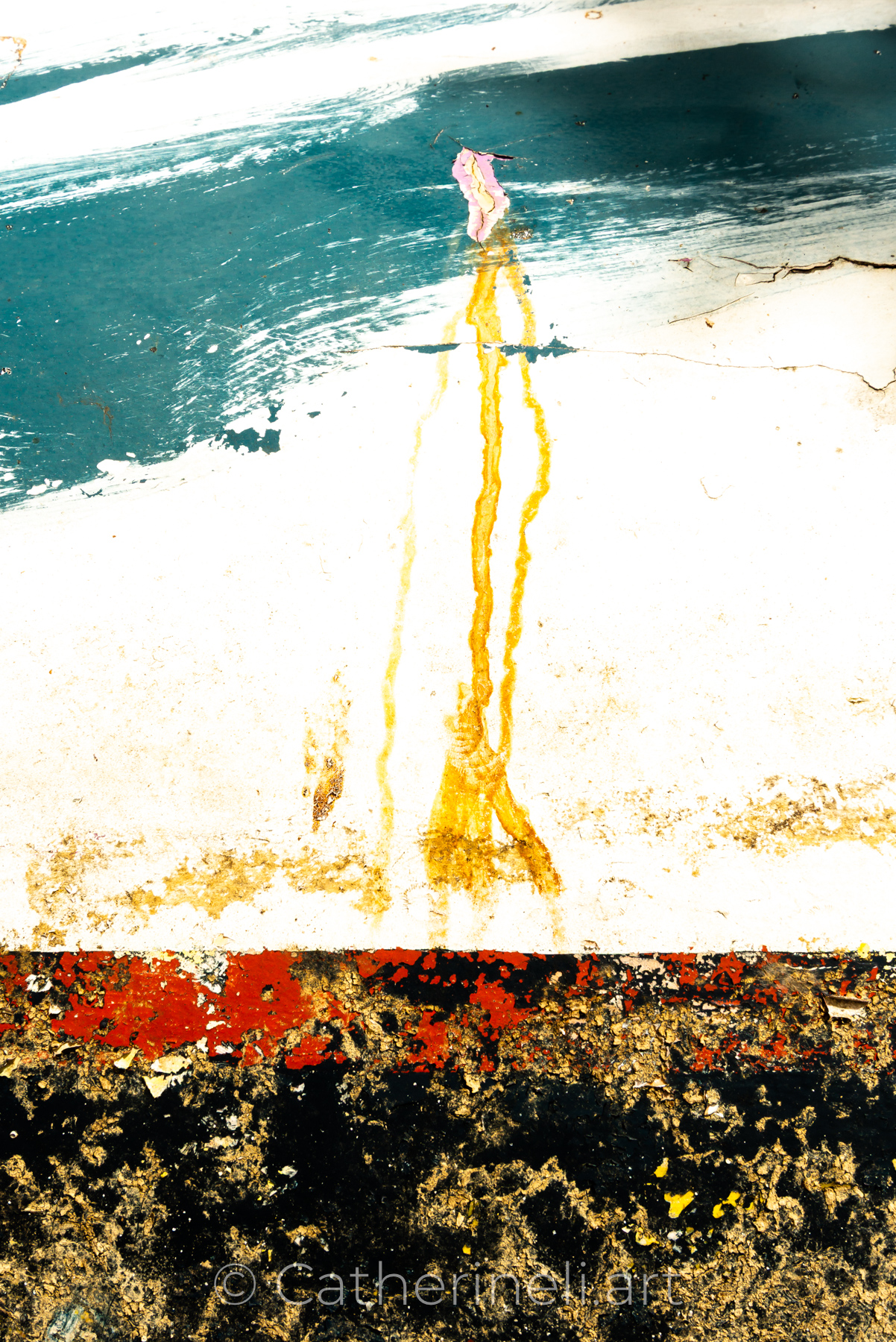 SERIES-HULLS - Catherine Li