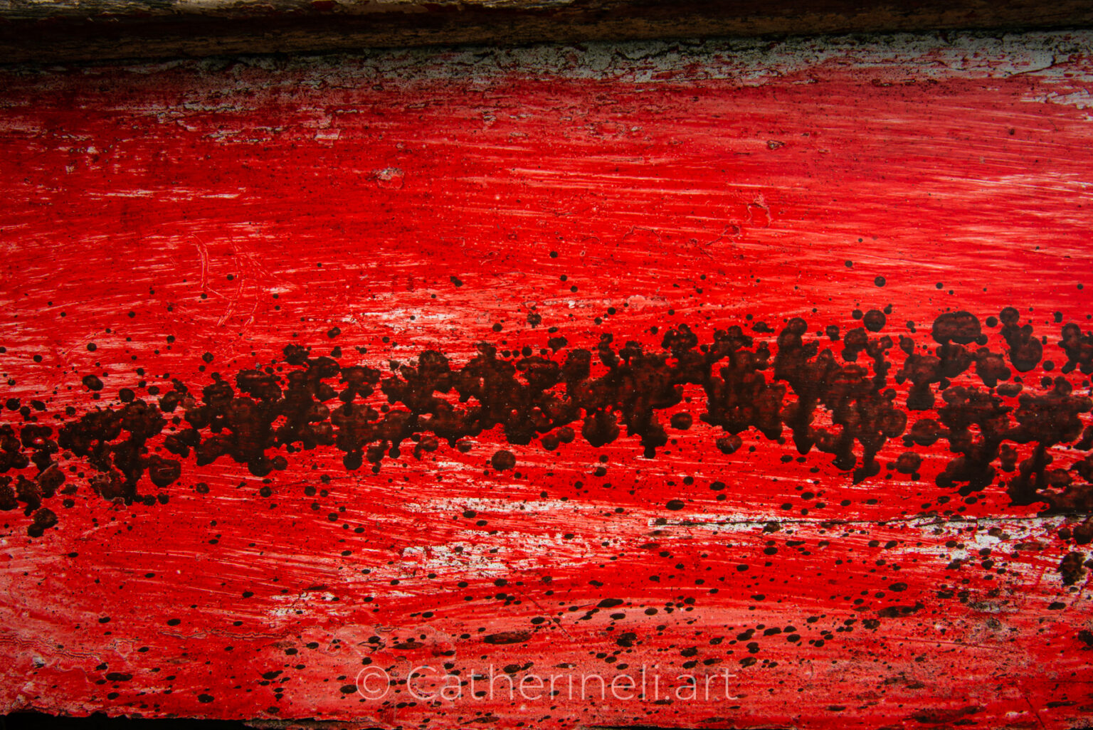 SERIES-HULLS - Catherine Li